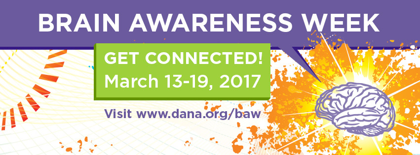 IT’S BRAIN AWARENESS WEEK!!! | Brains for Brain
